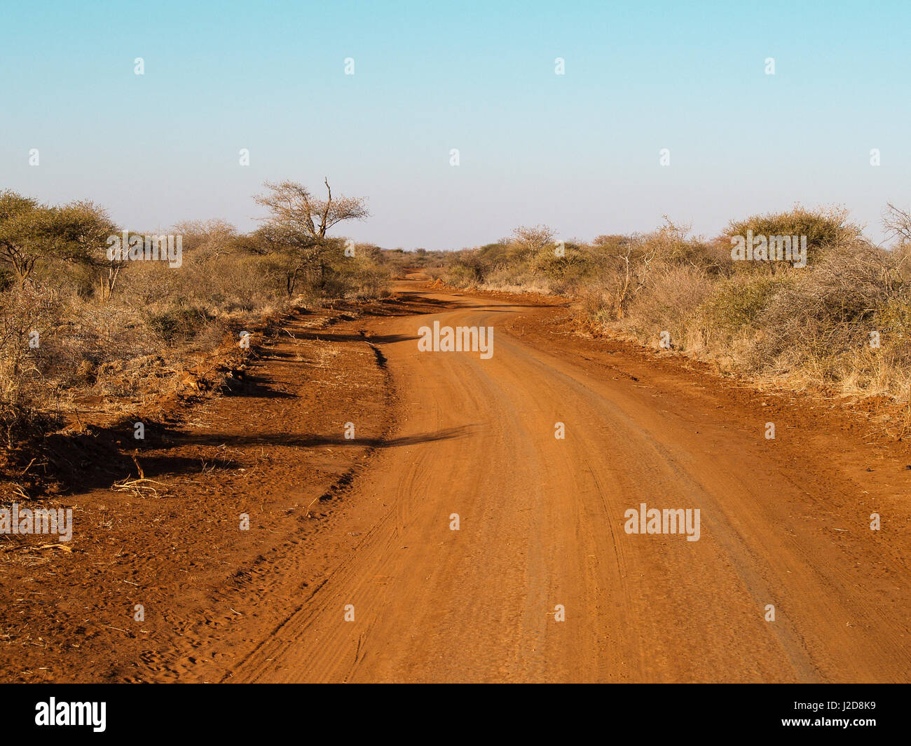Red dirt track winds through African landscape towards horizon Stock ...