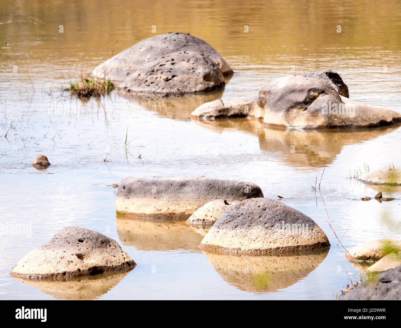 isolated rocks in a calm stream, landscape orientation Stock Photo - Alamy
