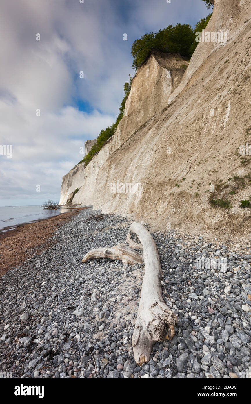 Denmark, Mon, Mons Klimt, 130 meter-high chalk cliffs from the shore ...