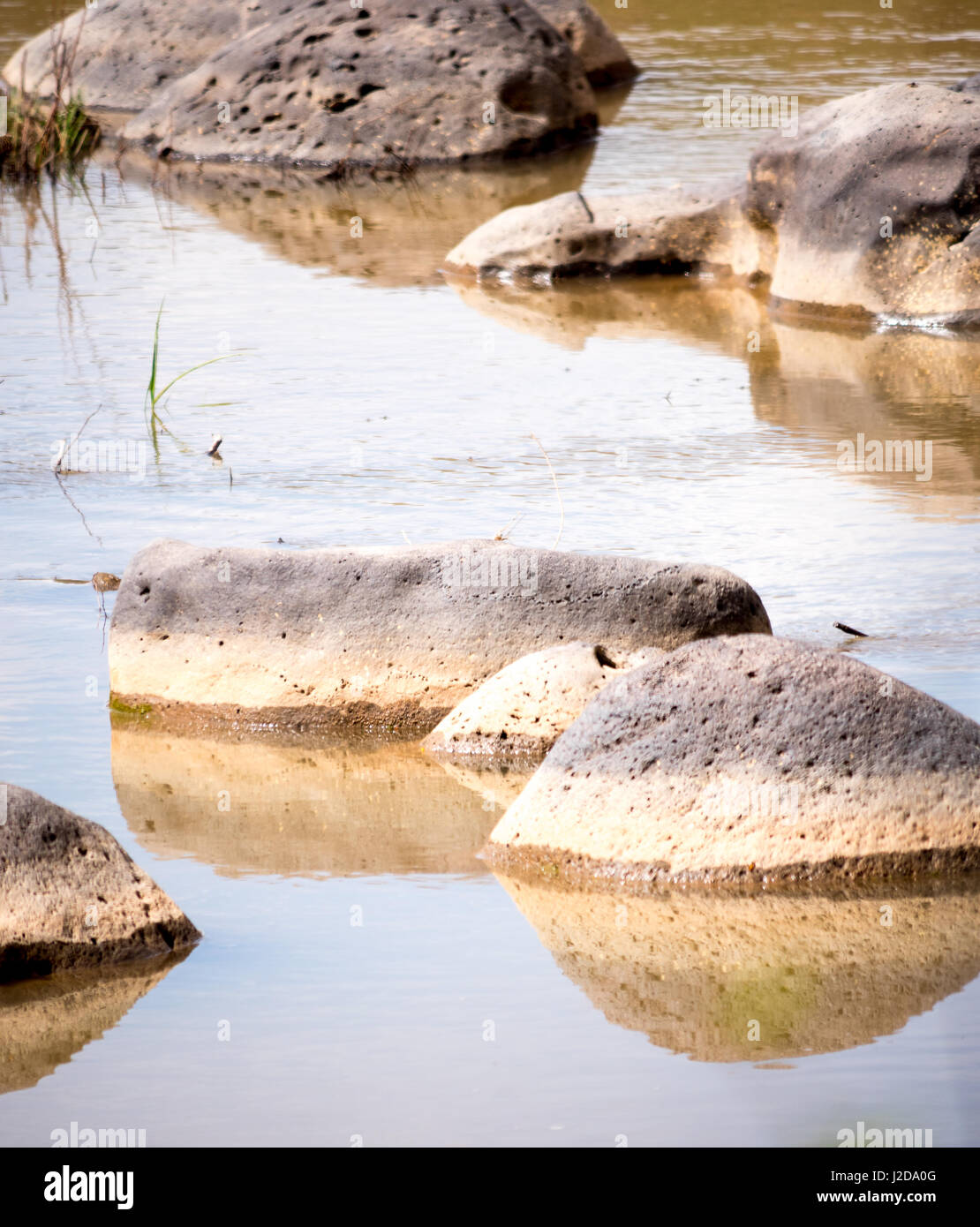 isolated rocks in a calm stream, portrait orientation Stock Photo - Alamy