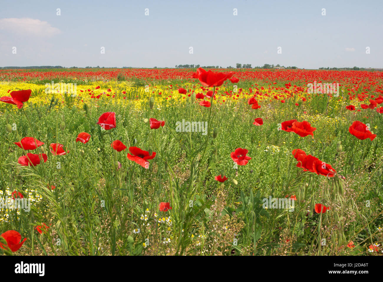 Pusta High Resolution Stock Photography and Images - Alamy