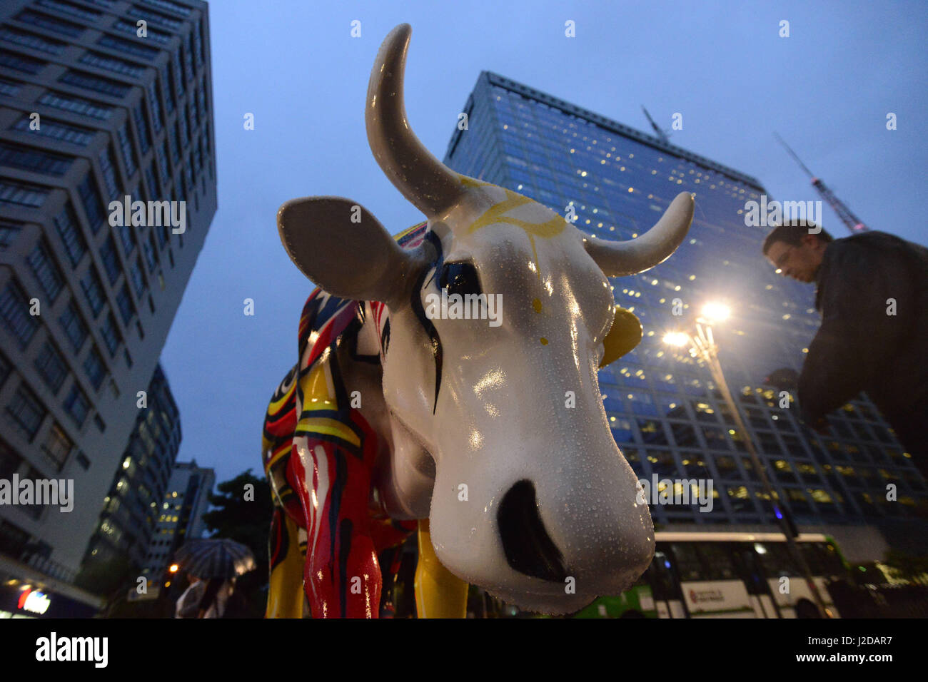 Pascal knapp cow hi-res stock photography and images - Alamy