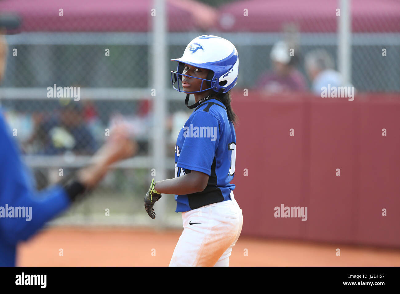 Athena bat hi-res stock photography and images - Alamy