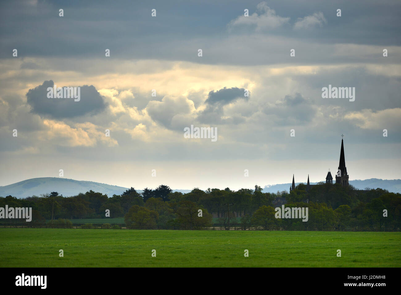 Hughs hi-res stock photography and images - Alamy