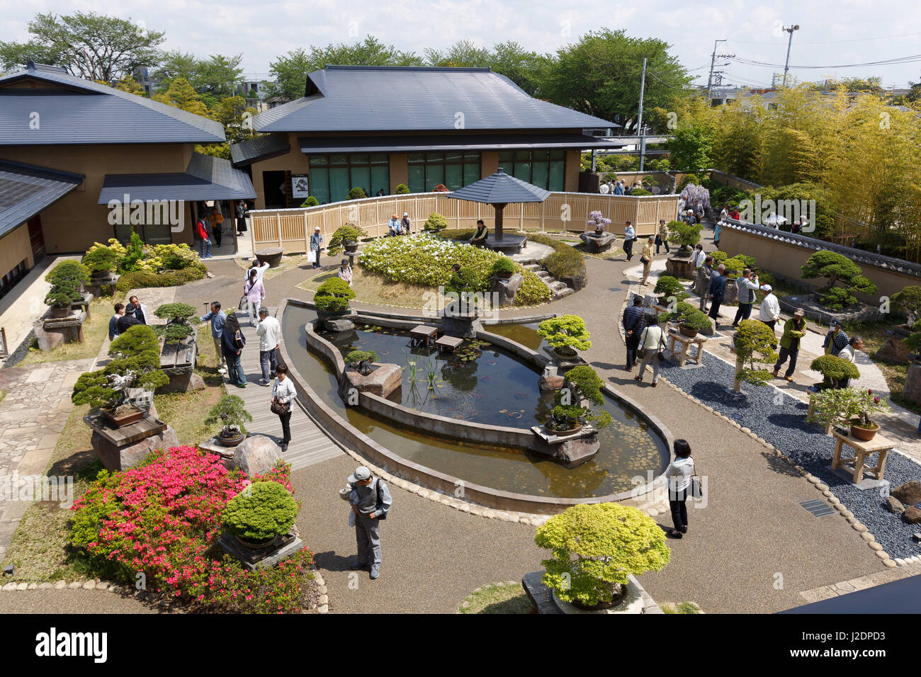 Omiya bonsai village hi-res stock photography and images - Alamy