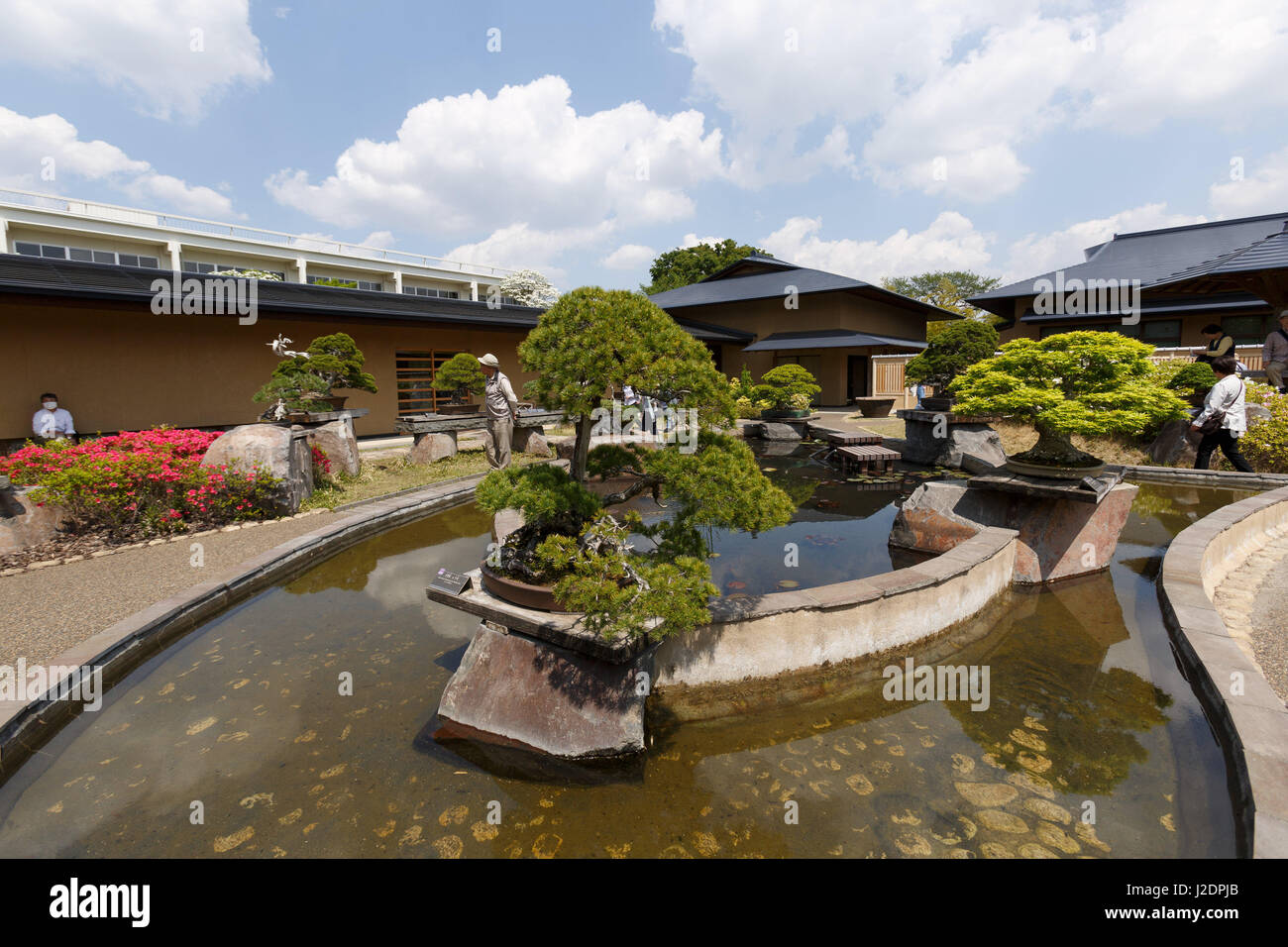 Visitors gather at the Omiya Bonsai Art Museum in Saitama on April 28 ...