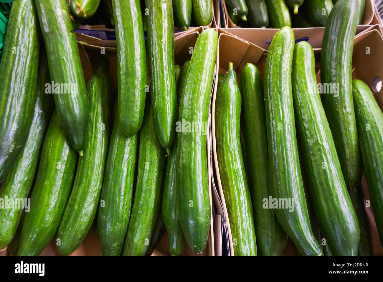 green cucumber. Cucumbers For Sale At Market Stock Photo - Alamy