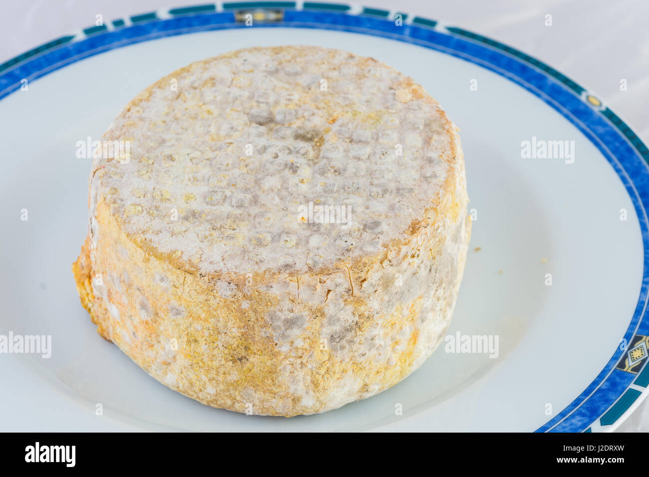 The form of hard cheese of a bloomy rind goat's milk, frost crust ...