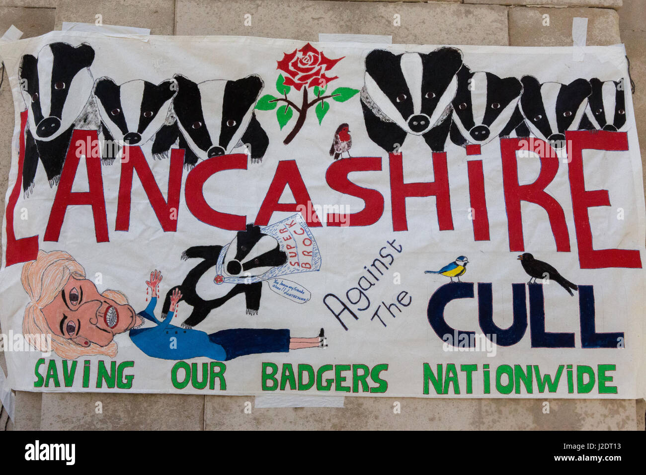 Protest against the badger cull at Westminster as MPs debate the ...