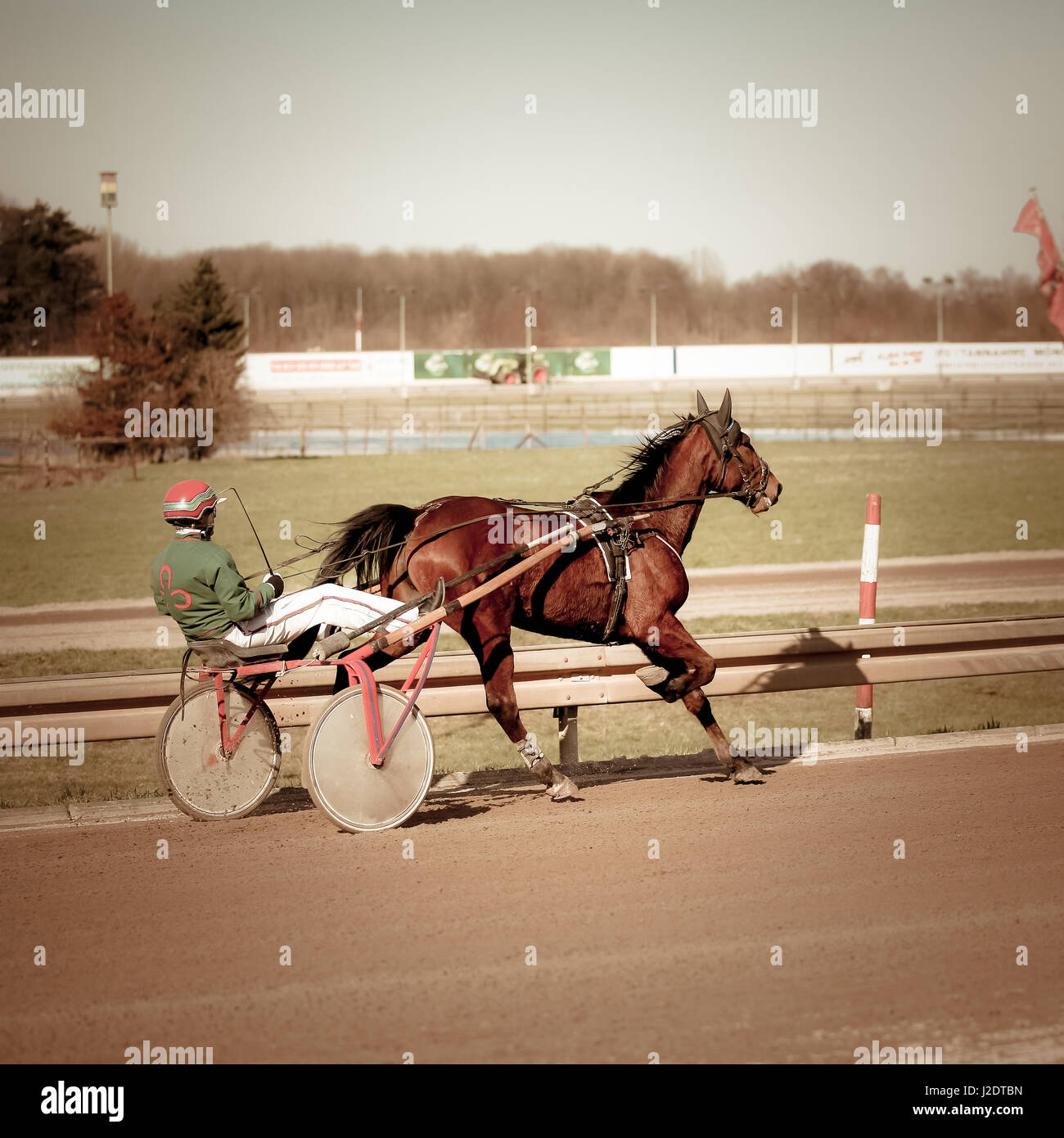 Harness Racing .horse Stock Photo - Alamy