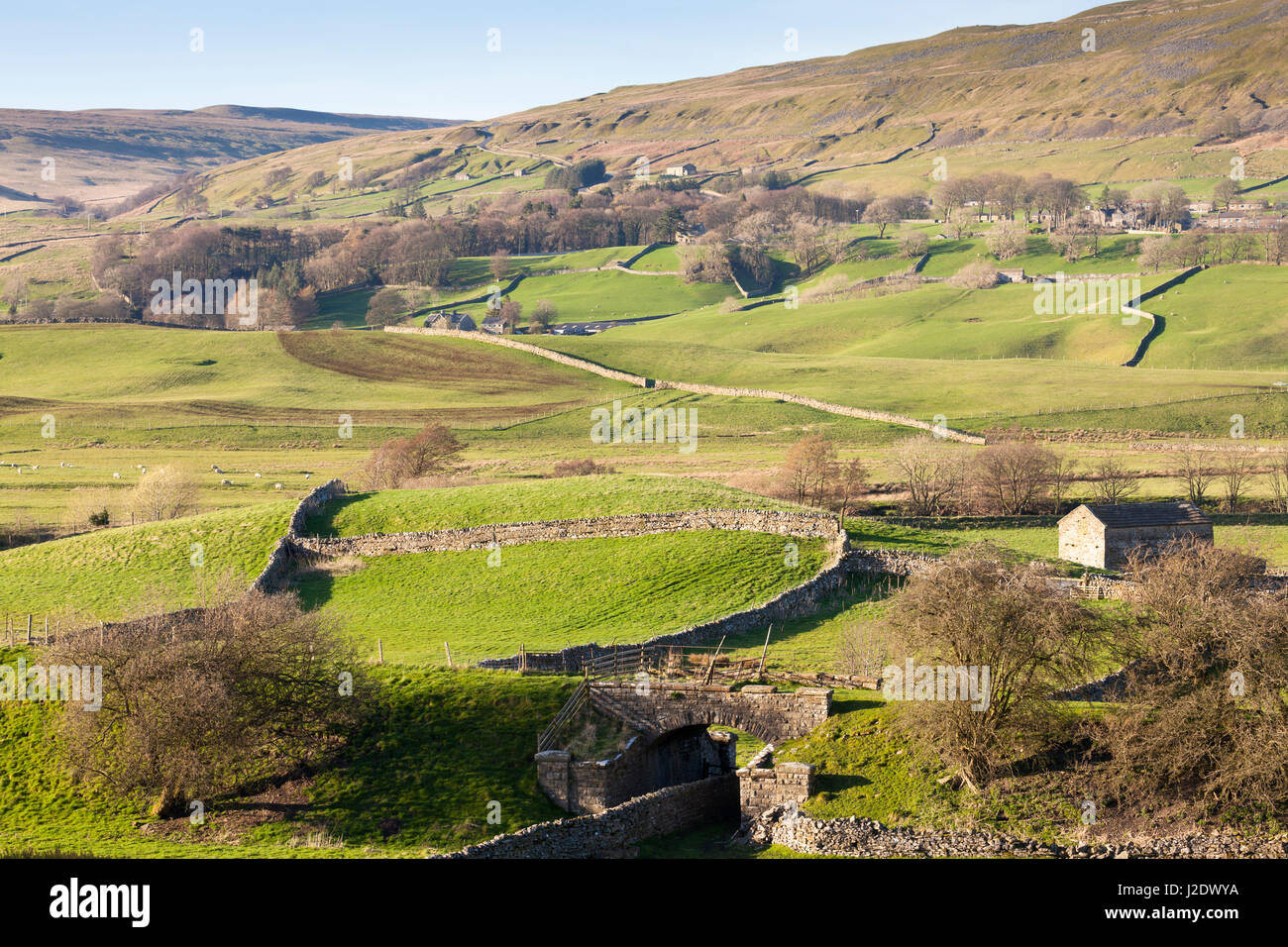 Yorkshire Dales, dry stone walls and fields Stock Photo - Alamy