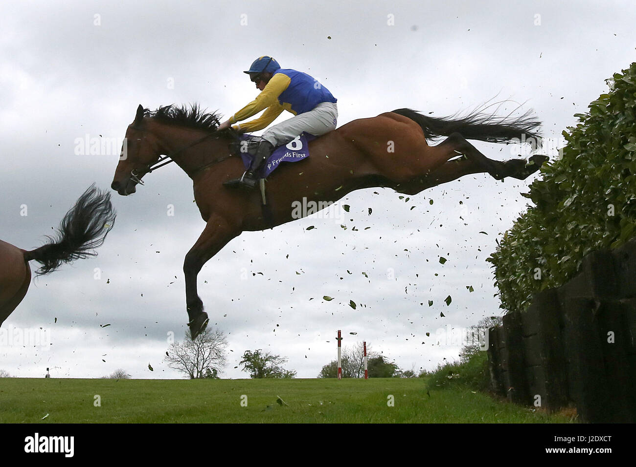 Treo eile hi-res stock photography and images - Alamy