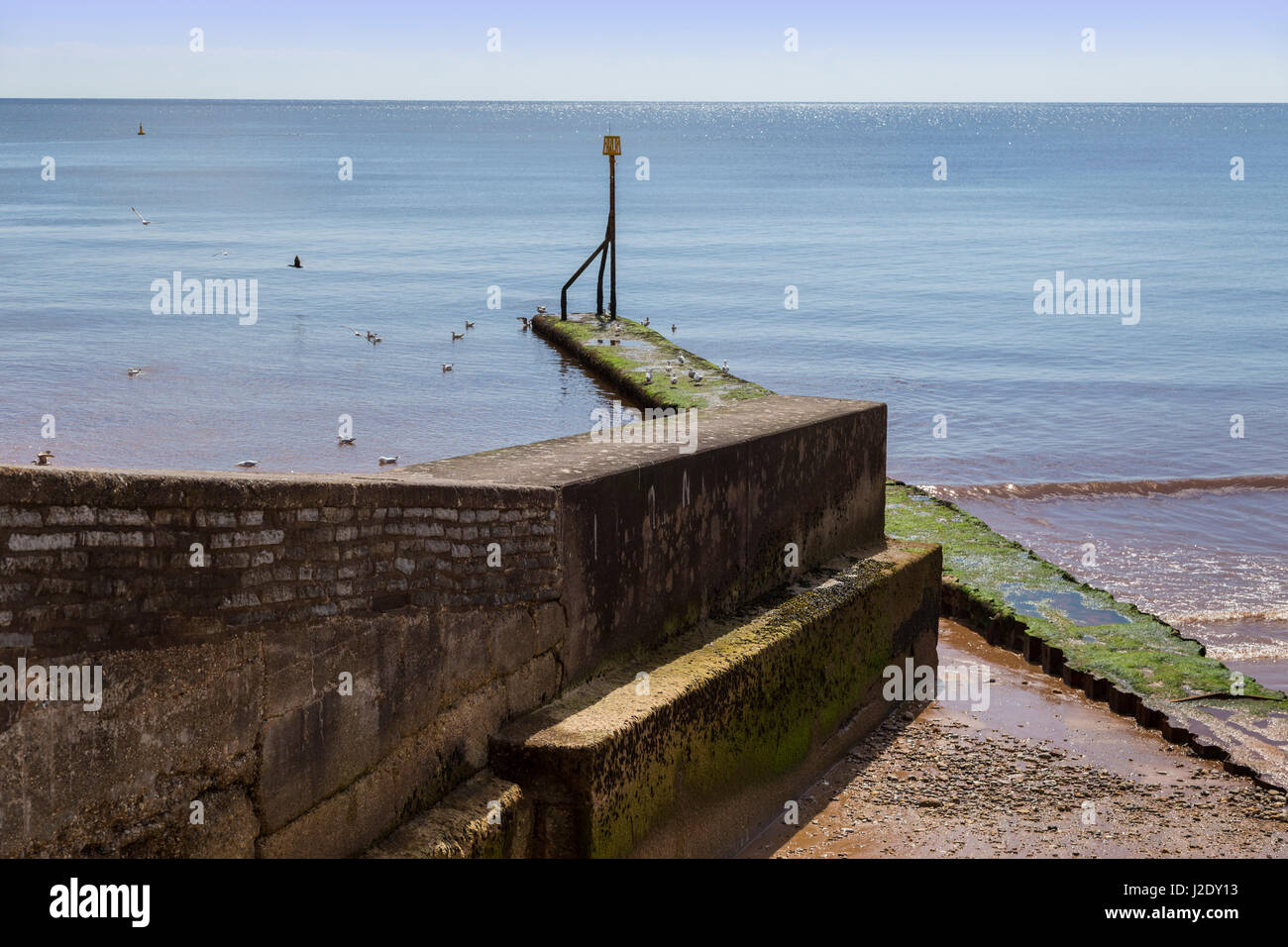 A concrete groyne sea defence at Port Royal, Sidmouth, Devon Stock ...