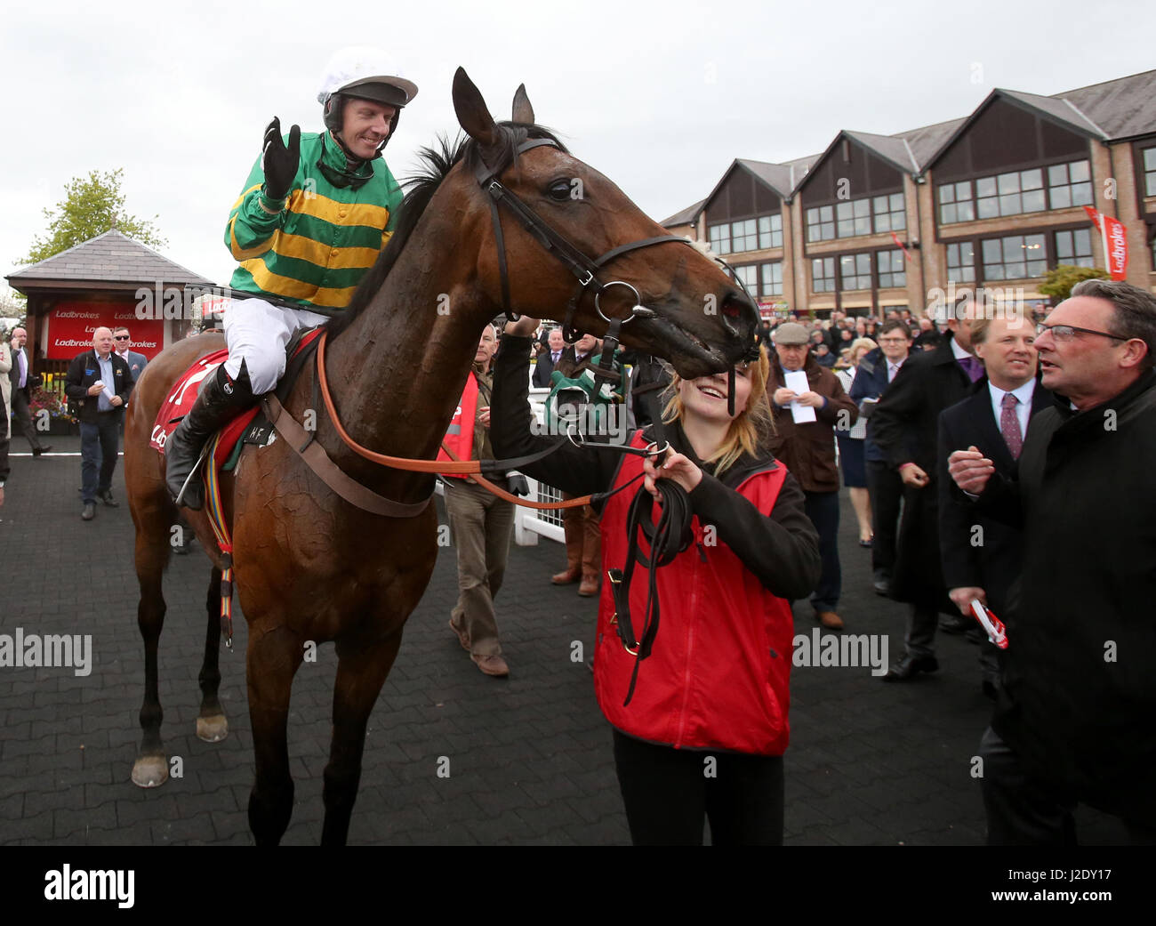 Unowhatimeanharry punchestown hi-res stock photography and images - Alamy