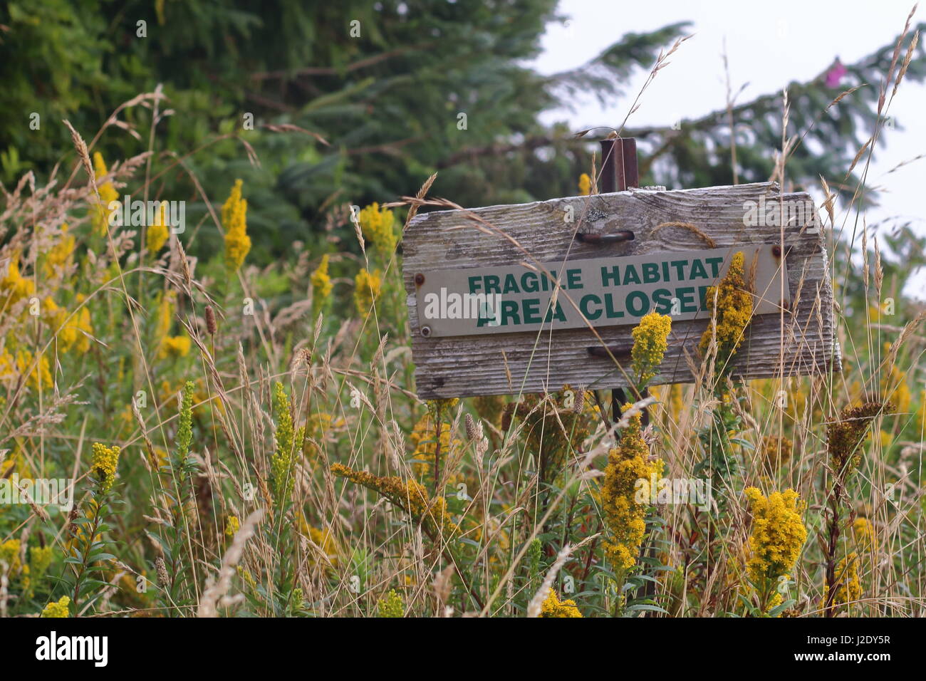 Fragile habitat, area closed sign Stock Photo - Alamy