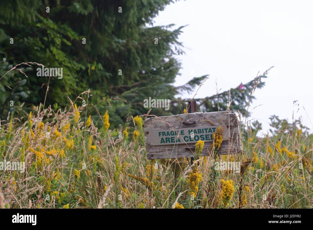 Fragile habitat, area closed sign Stock Photo - Alamy