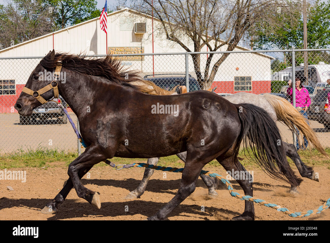 Old Shasta California miners town Stock Photo - Alamy