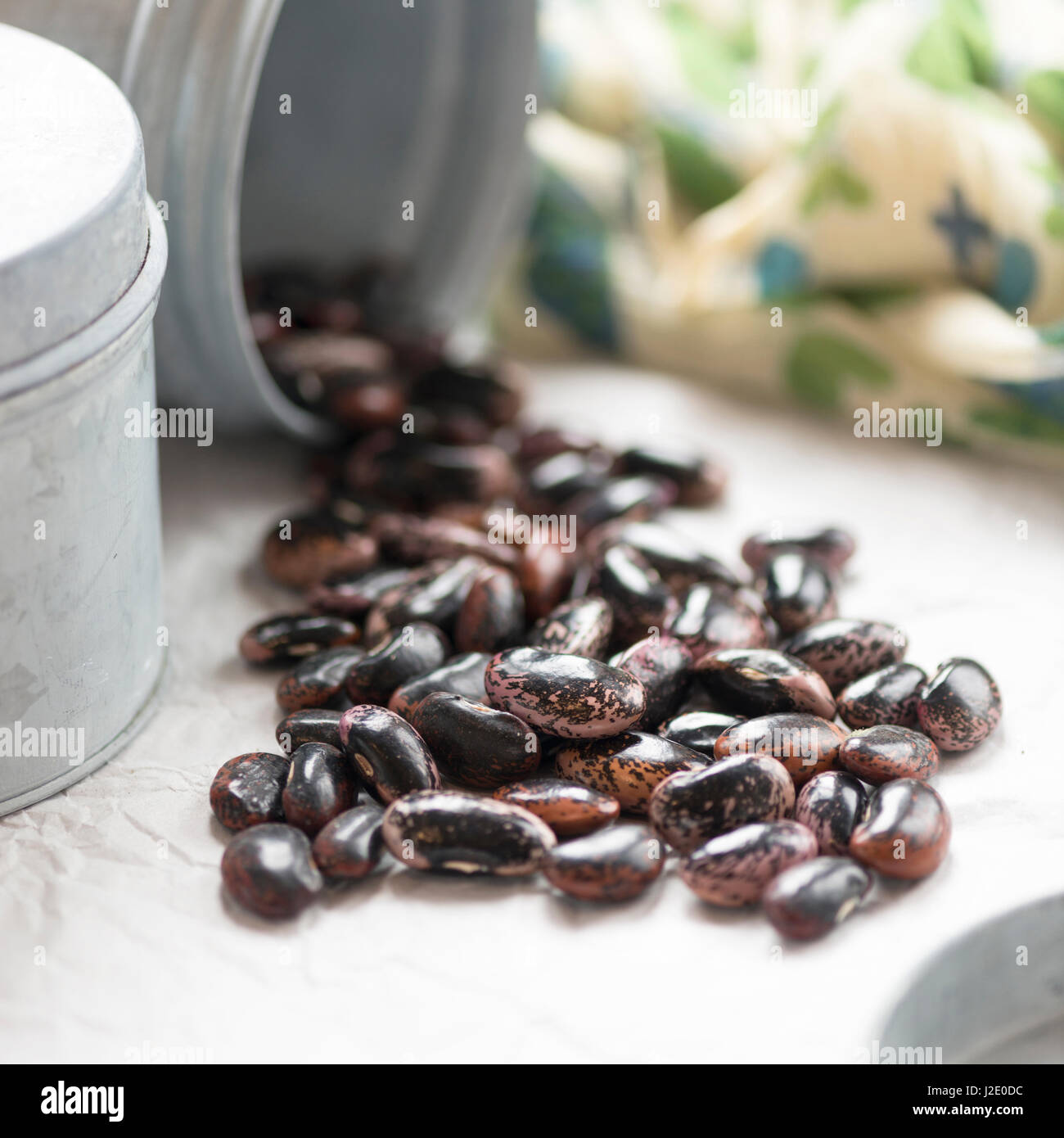 Planting dry beans hi-res stock photography and images - Alamy