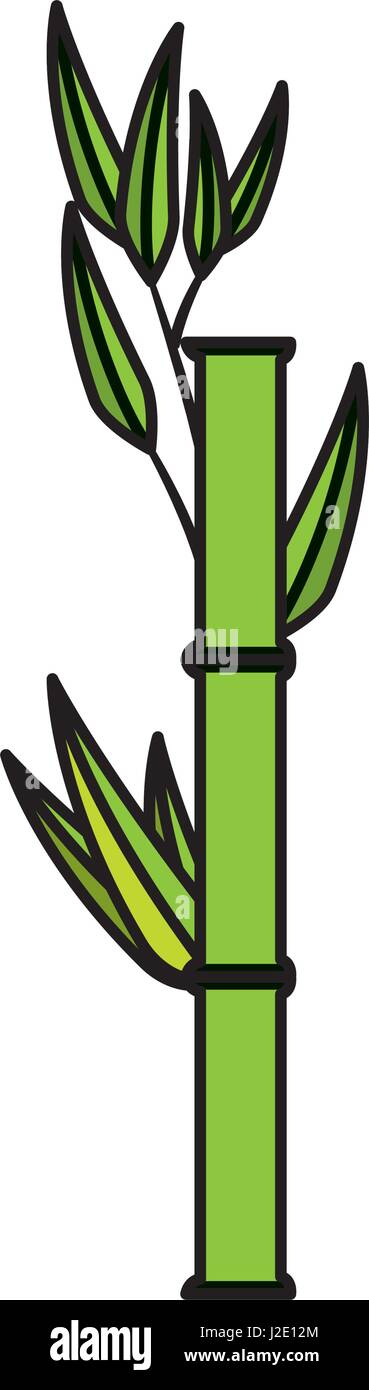 Bamboo japanese tree Stock Vector Image & Art - Alamy