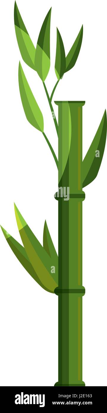 Bamboo japanese tree Stock Vector Image & Art - Alamy