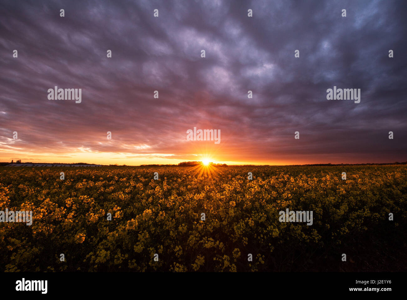 Bingham, nottinghamshire hi-res stock photography and images - Alamy