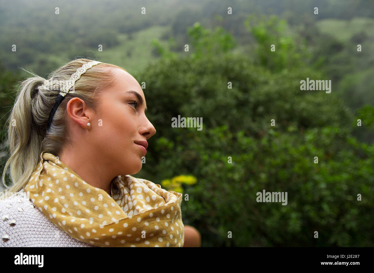 Beautiful young contemplative woman in a forest Stock Photo - Alamy
