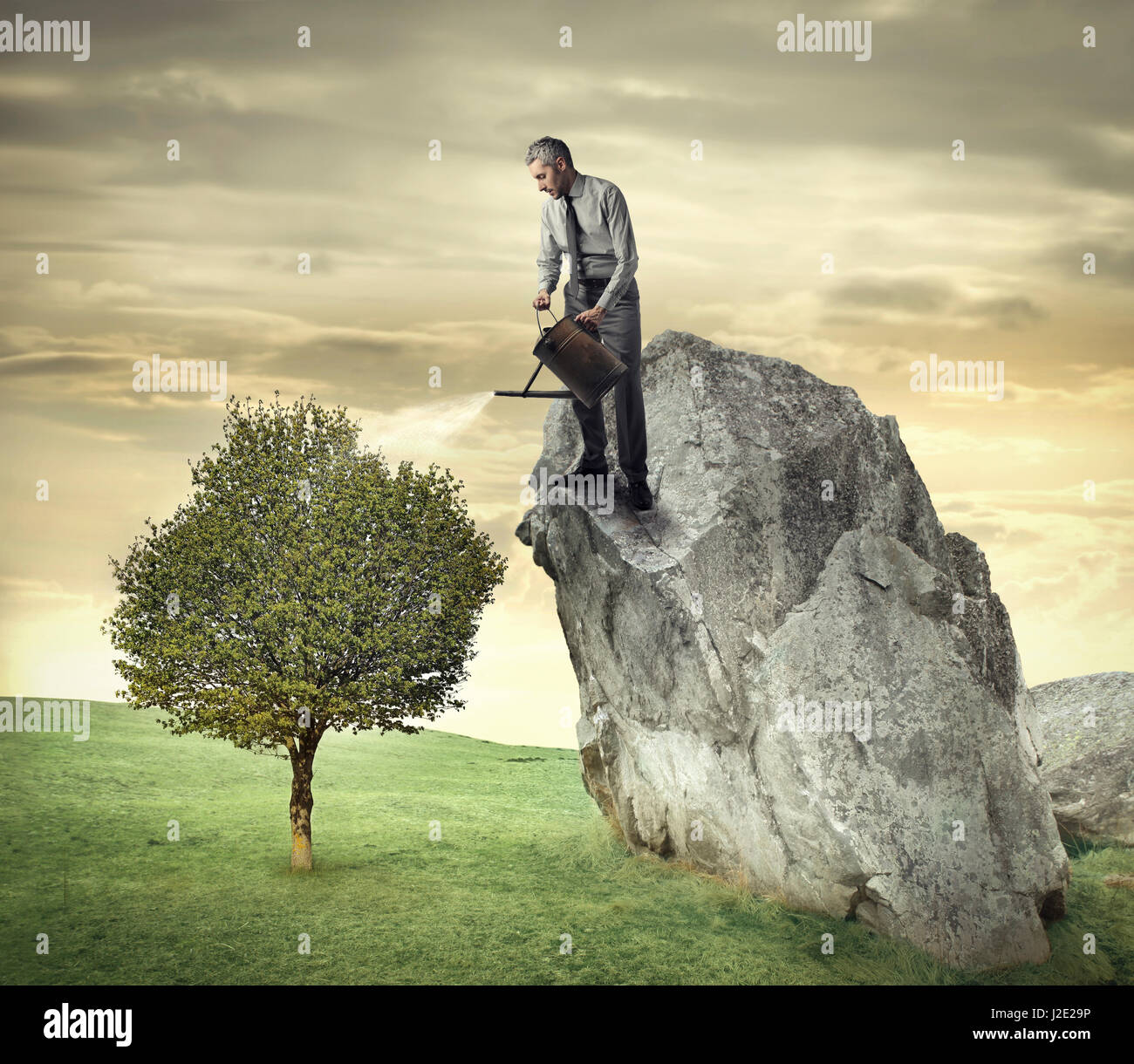 Man on rock watering tree Stock Photo - Alamy