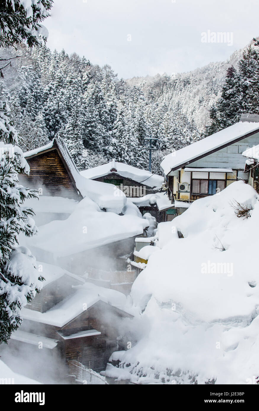 Japanese village in winter. Landscape. Japan. Nagano. Jigokudani Monkey ...