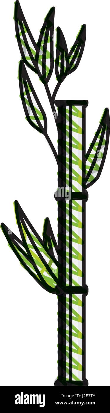 Bamboo japanese tree Stock Vector Image & Art - Alamy