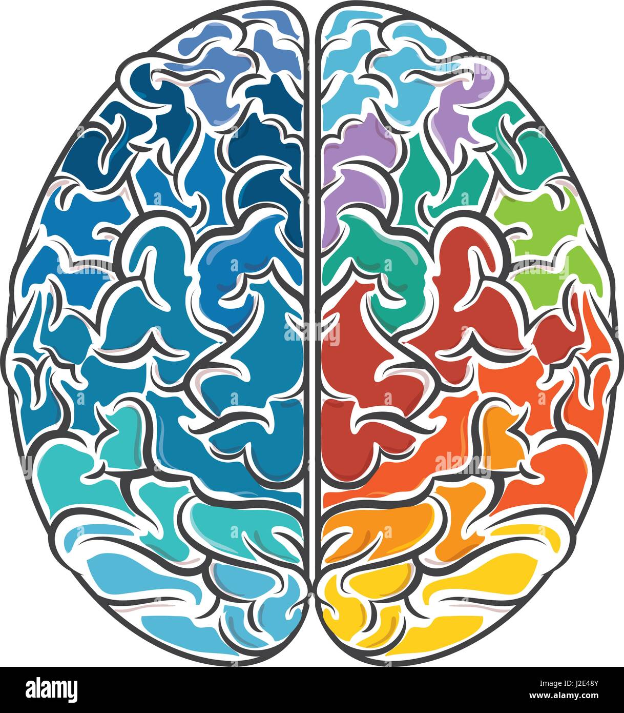 Human brain intelligence Stock Vector Image & Art - Alamy