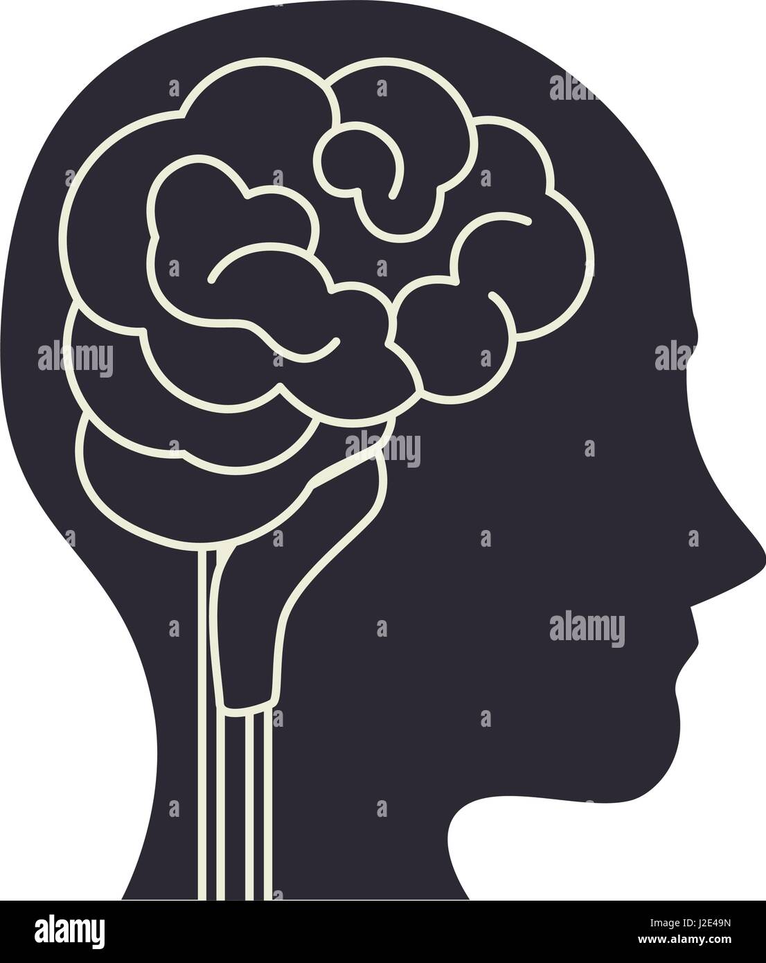 Human brain intelligence Stock Vector Image & Art - Alamy
