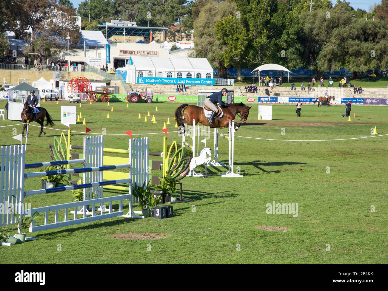 Claremont,WA,Australia-September 25,2016:Horse and rider at showjumping ...