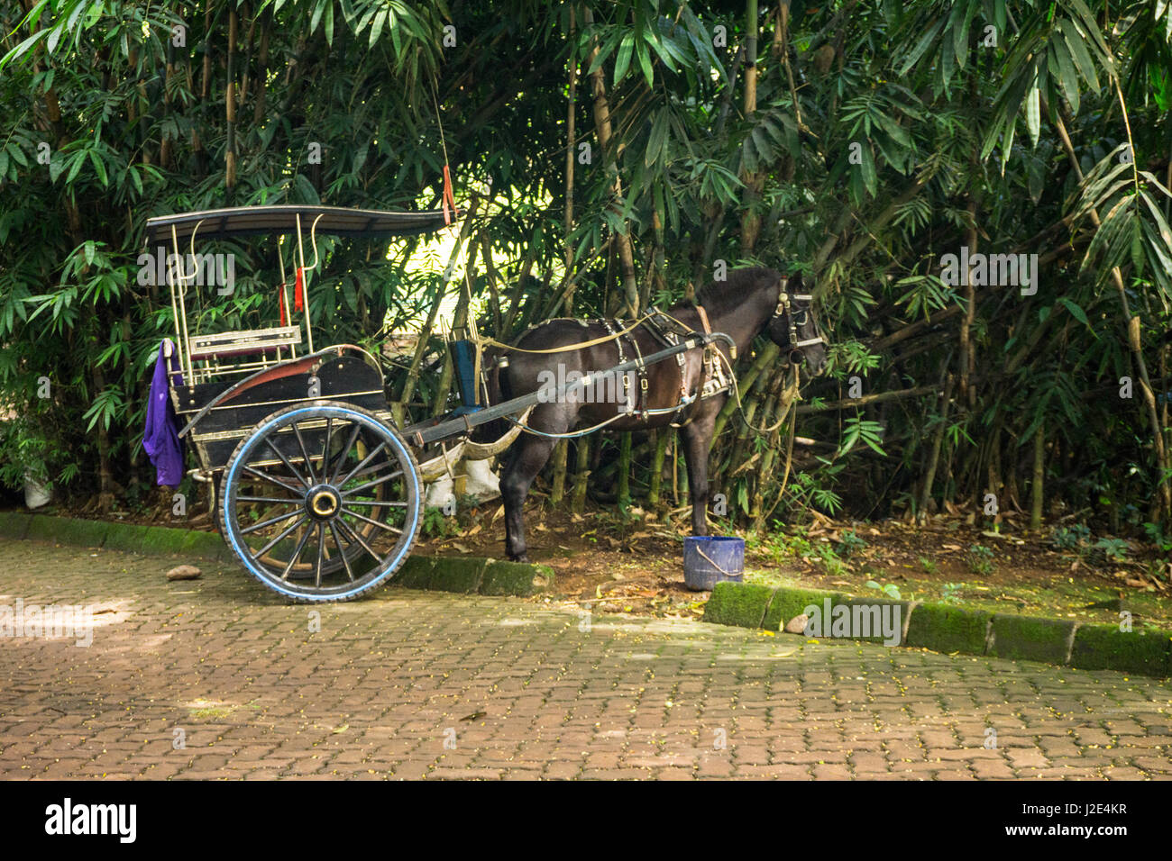 Dokar indonesia High Resolution Stock Photography and Images - Alamy