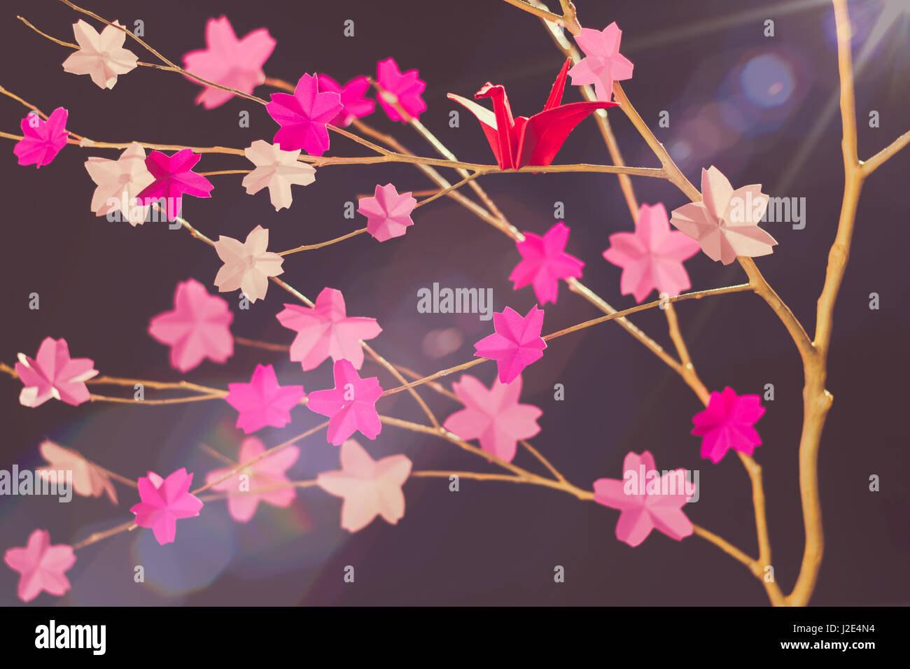Origami Tsuru and sakura flowers in black background and lens flare ...