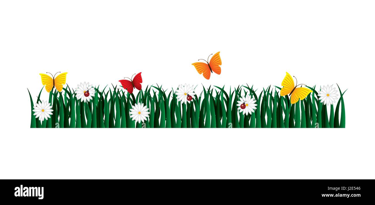 garden flowers and butterflies Stock Vector Image & Art - Alamy