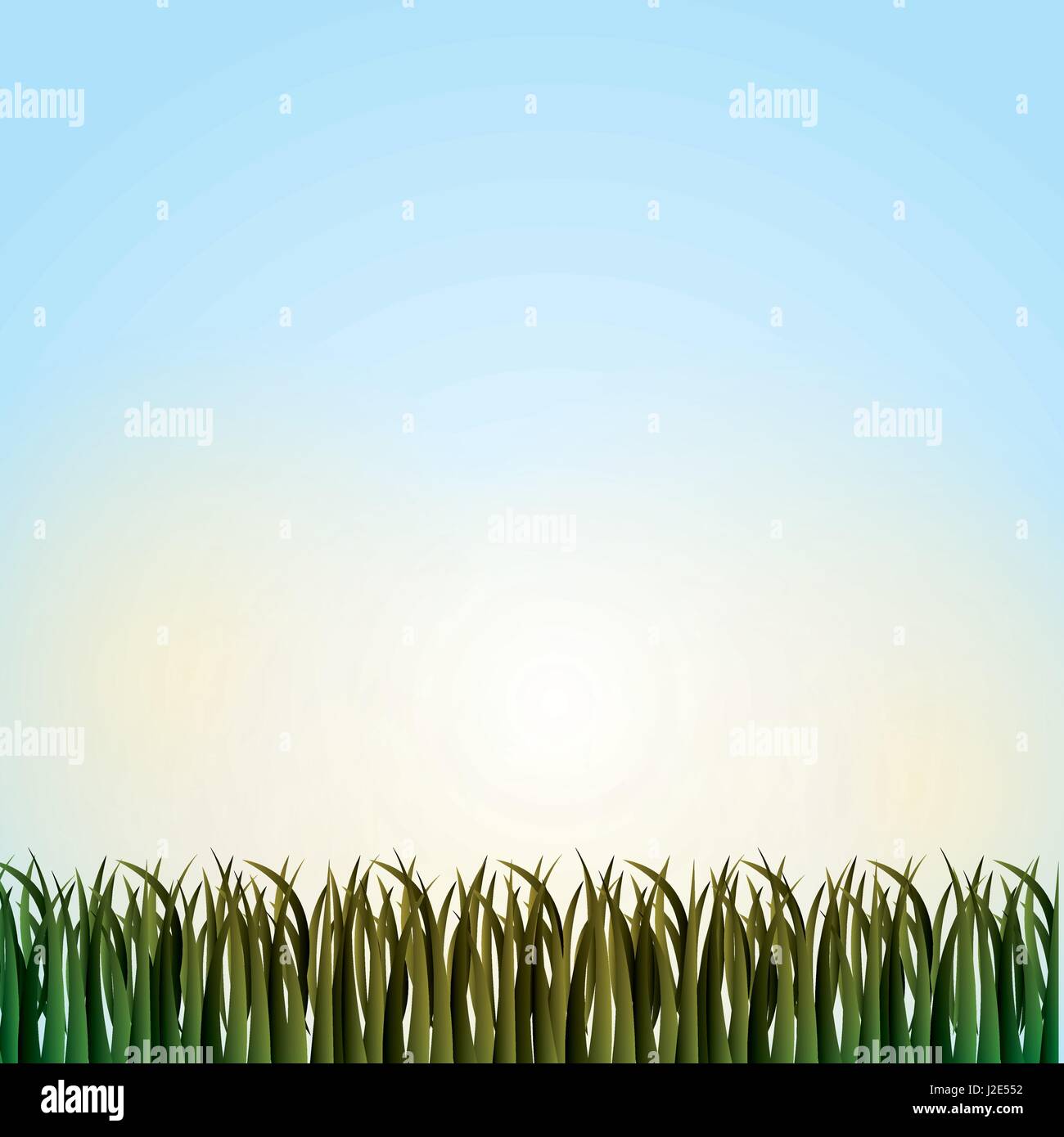nature grass field background Stock Vector Image & Art - Alamy
