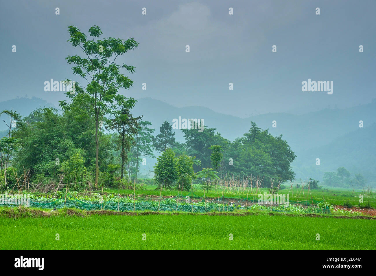 Beautiful countryside scenery in spring Stock Photo - Alamy