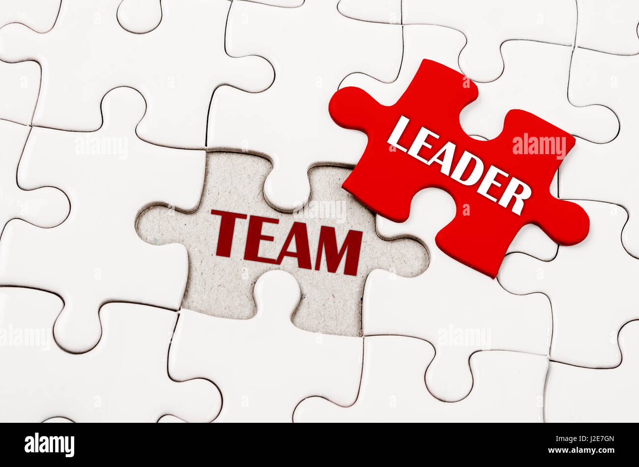 The Missing puzzle with TEAM LEADER WORD, Business teamwork concept ...