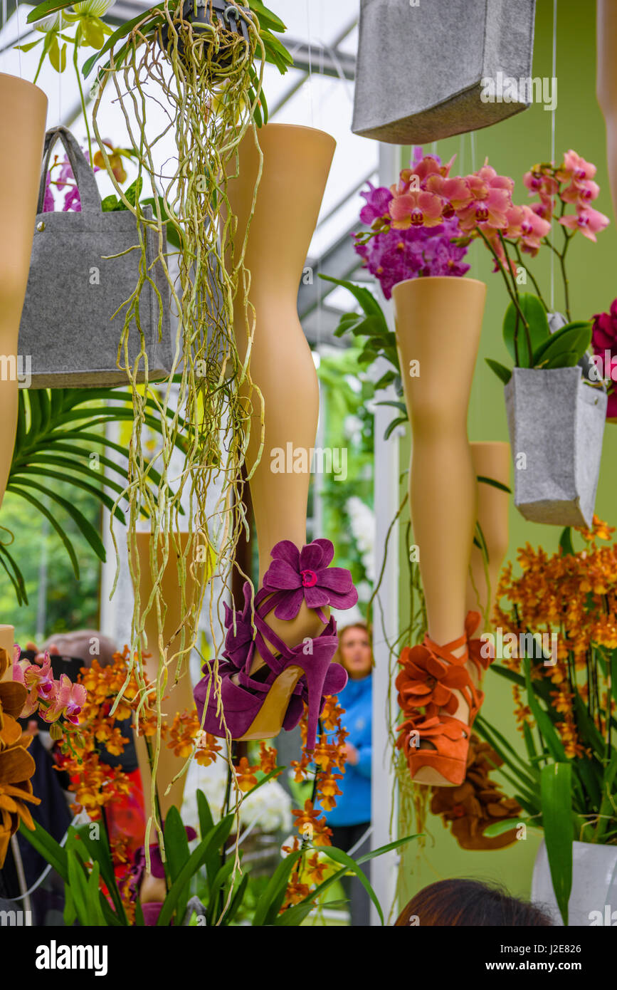 Orchids and legs with high heels in Keukenhof park, Lisse, Holland ...