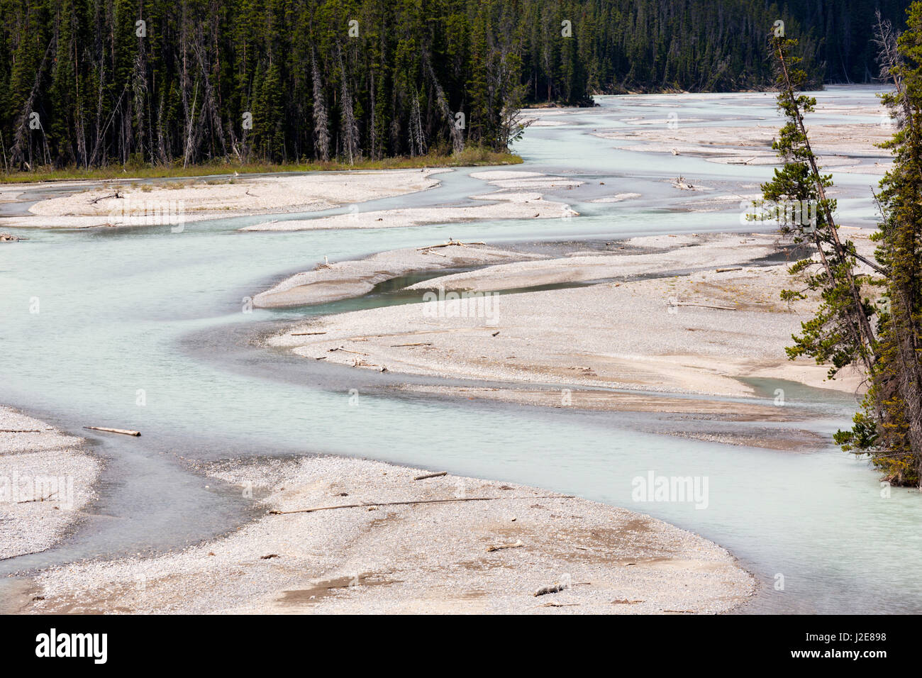 Canada, Alberta, Jasper National Park, Sunwapta River Stock Photo - Alamy