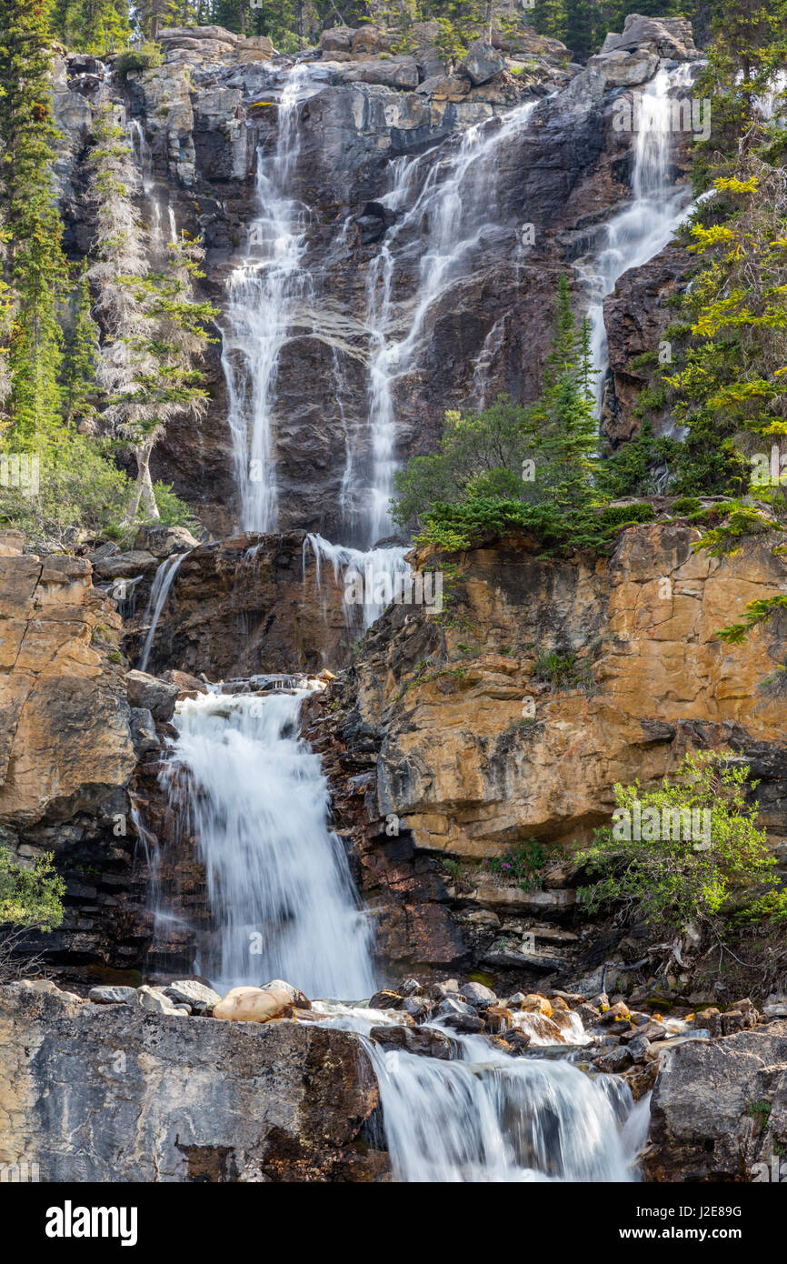 Canada, Alberta, Jasper National Park, Tangle Falls Stock Photo - Alamy