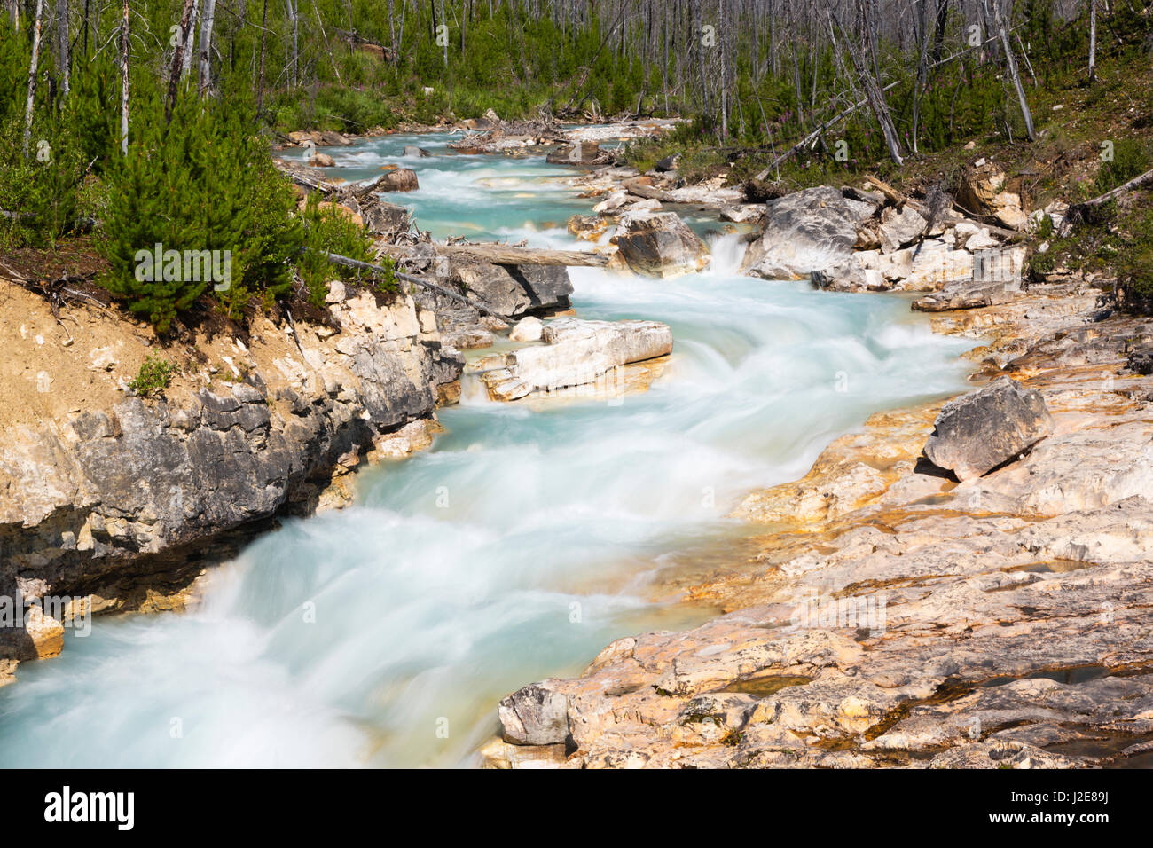 Canada, Alberta, Kootenay National Park, Marble Canyon and Tokumm Creek ...