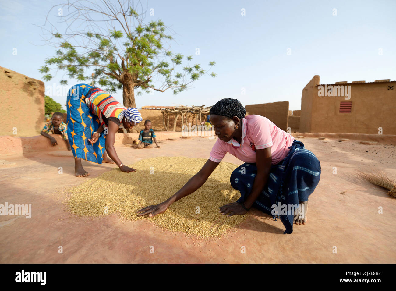 Women Millet High Resolution Stock Photography and Images - Alamy