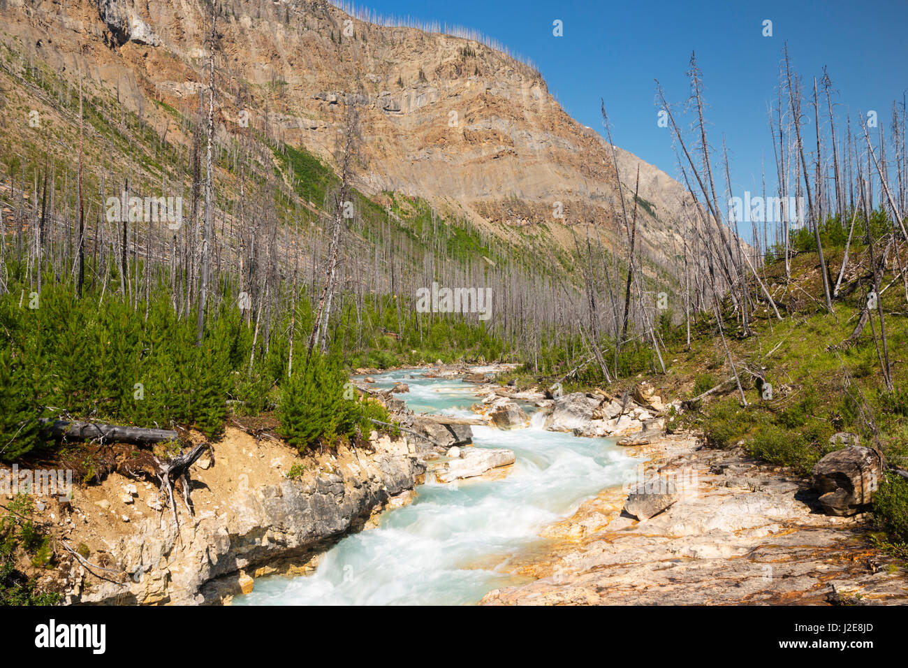 Canada, Alberta, Kootenay National Park, Marble Canyon and Tokumm Creek ...
