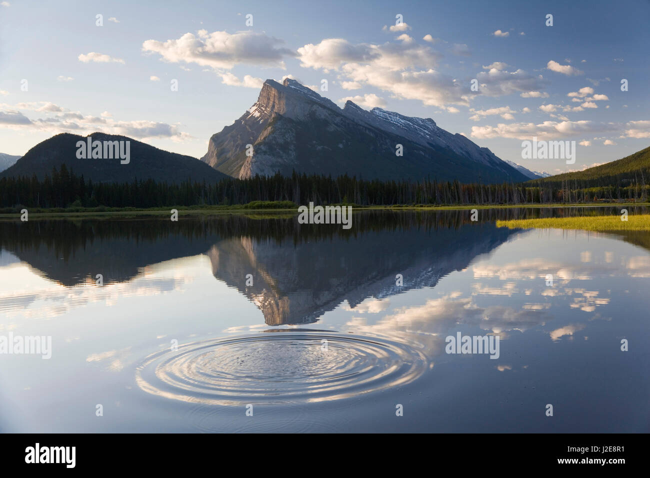 Canada, Mt Rundle, Vermillion Lake and ripple Stock Photo - Alamy