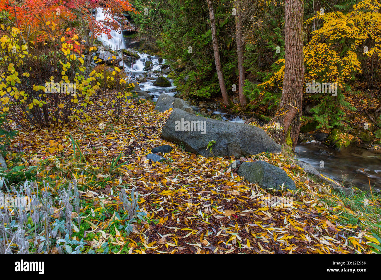 Autumn colors at Cottonwood Creek Falls at the Japanese Gardens in ...