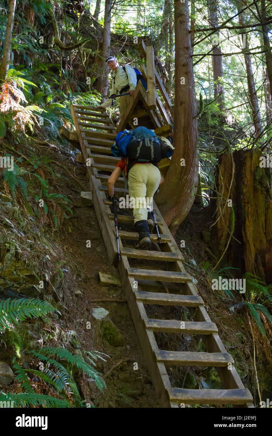Canada, Pacific Rim National Park Reserve, West Coast Trail, hiker ...