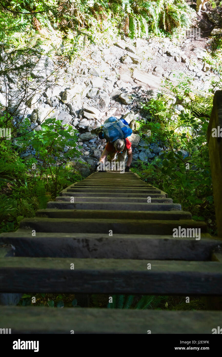 Canada, Pacific Rim National Park Reserve, West Coast Trail, hiker ...