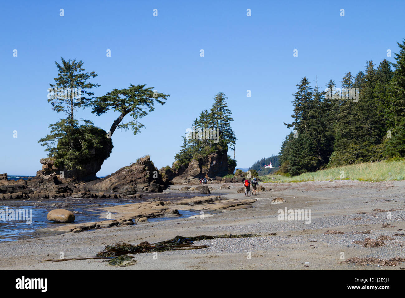 Canada, Pacific Rim National Park Reserve, West Coast Trail, Hikers on ...