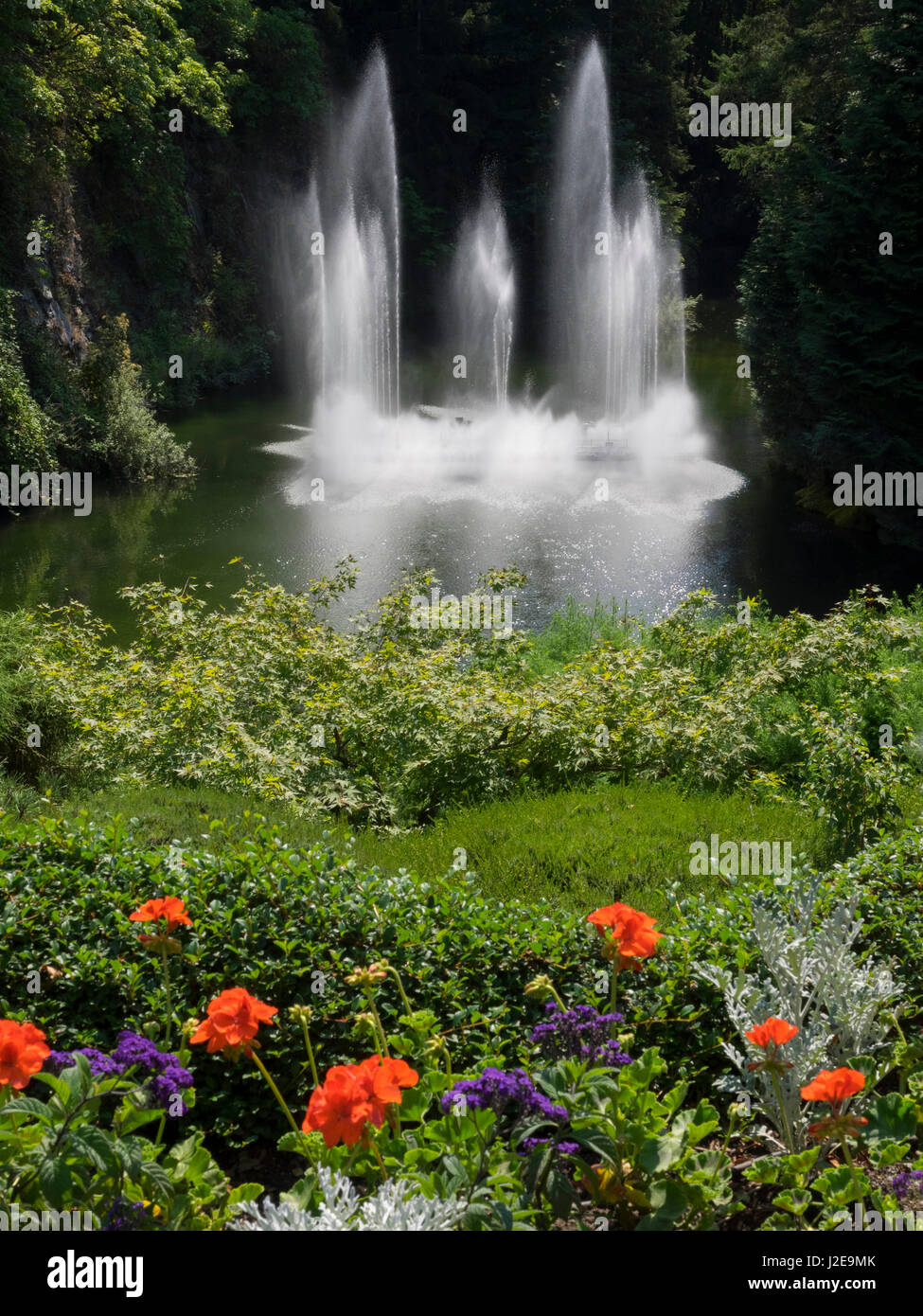Ross fountain butchart hi-res stock photography and images - Alamy